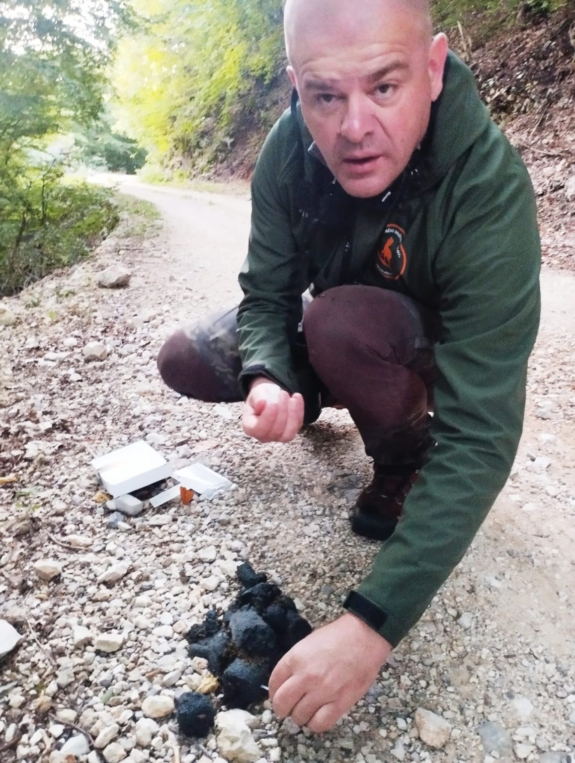 KOLIKO JE U HRVATSKOJ ŠUMSKOG ORIJAŠA : UZORCI MEDVJEĐEG IZMETA ...